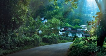Uma estrada estreita ladeada por vegetação exuberante e casas tradicionais com telhados inclinados.