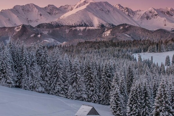 Villa Toscana Boutique - Zakopane