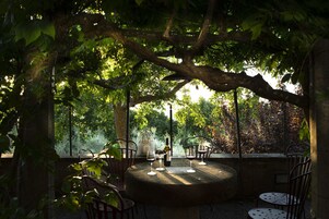 Jardim