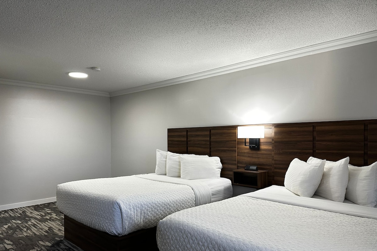 Quartos à prova de som, ferros/tábuas de passar roupa, berços grátis