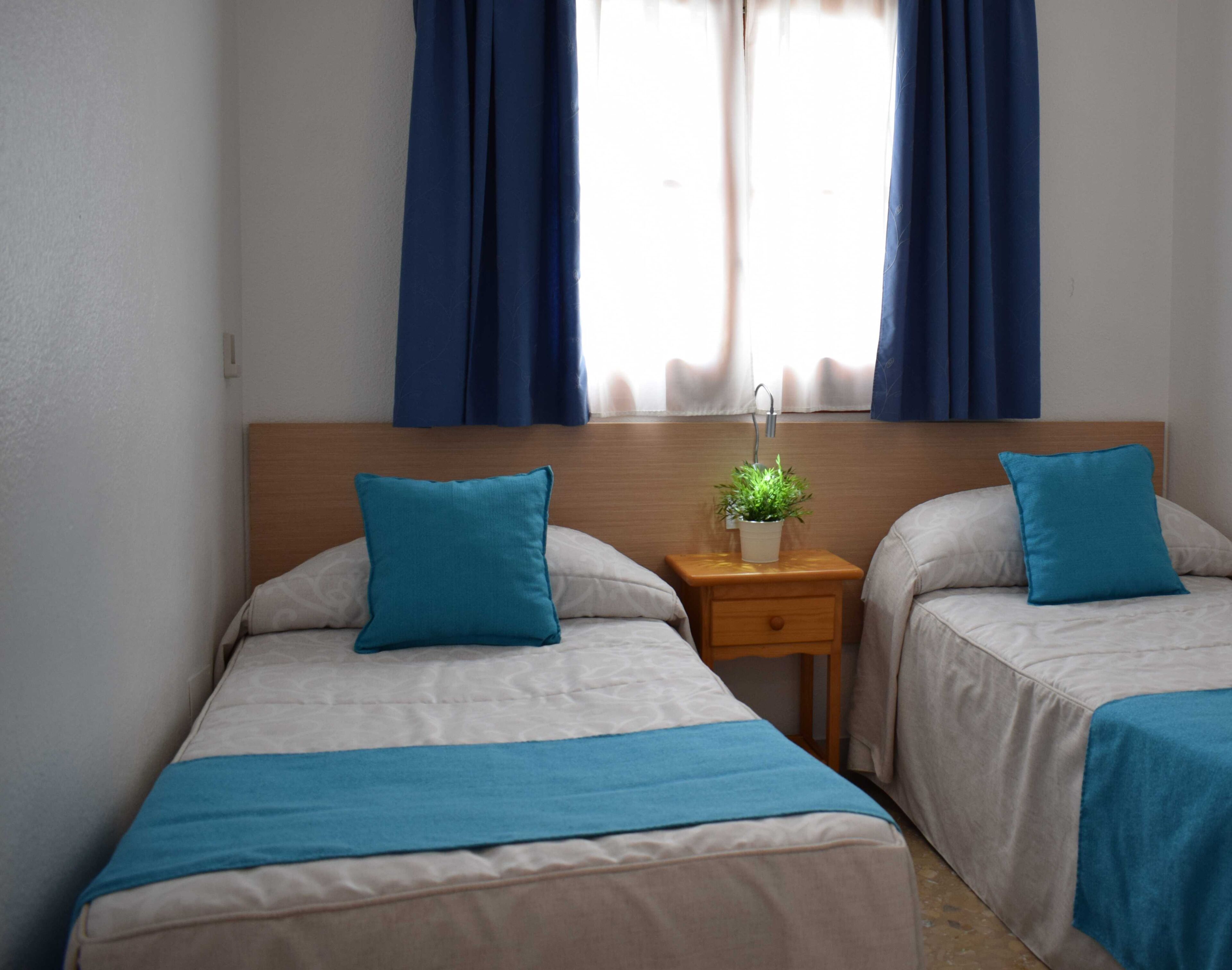 Quarto de hotel com duas camas, cada uma com almofada e cobre azuis. Entre as camas, uma mesa de cabeceira de madeira com uma planta em vaso.