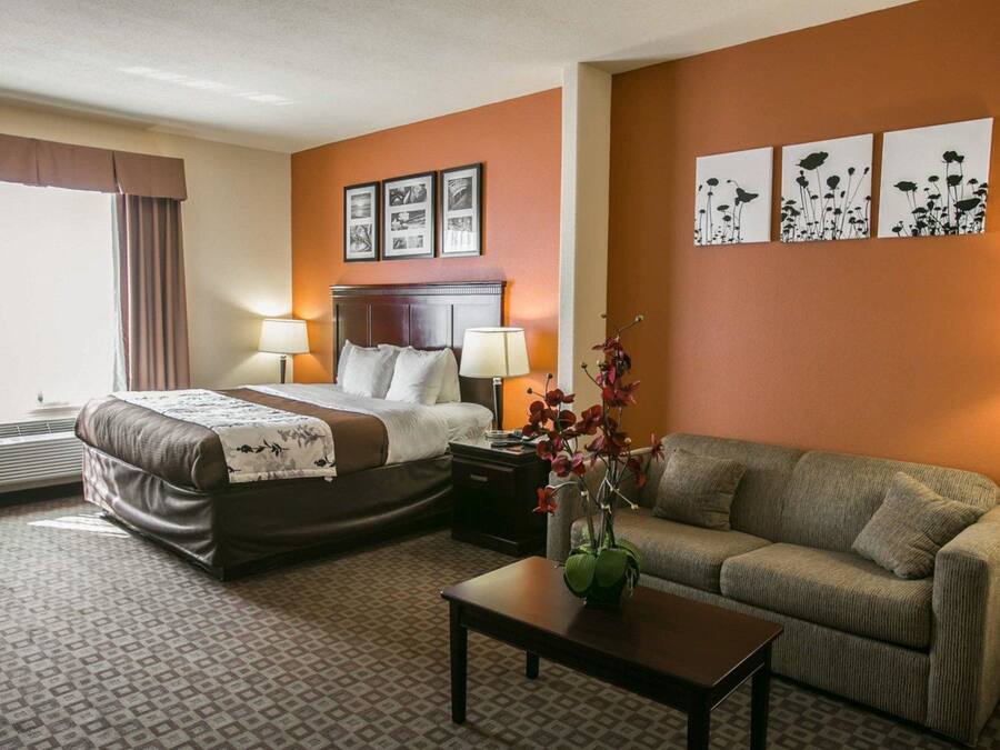 Quarto de hotel com cama, sofá, mesa de centro e obras de arte na parede.