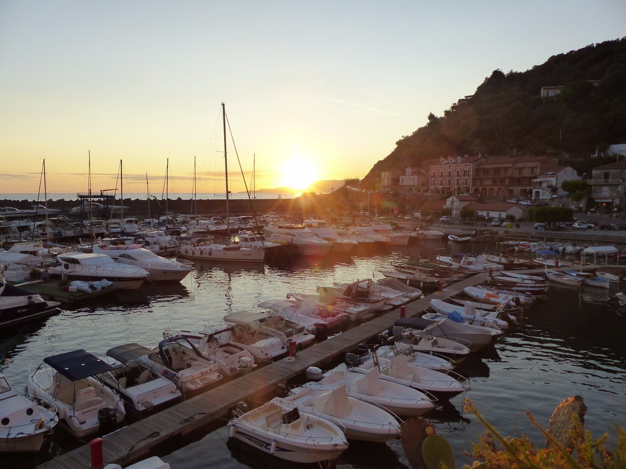 Uma marina com diversos barcos atracados, um píer de madeira e edifícios ao fundo.