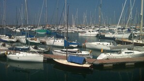 Marina com vários veleiros atracados em cais de madeira.