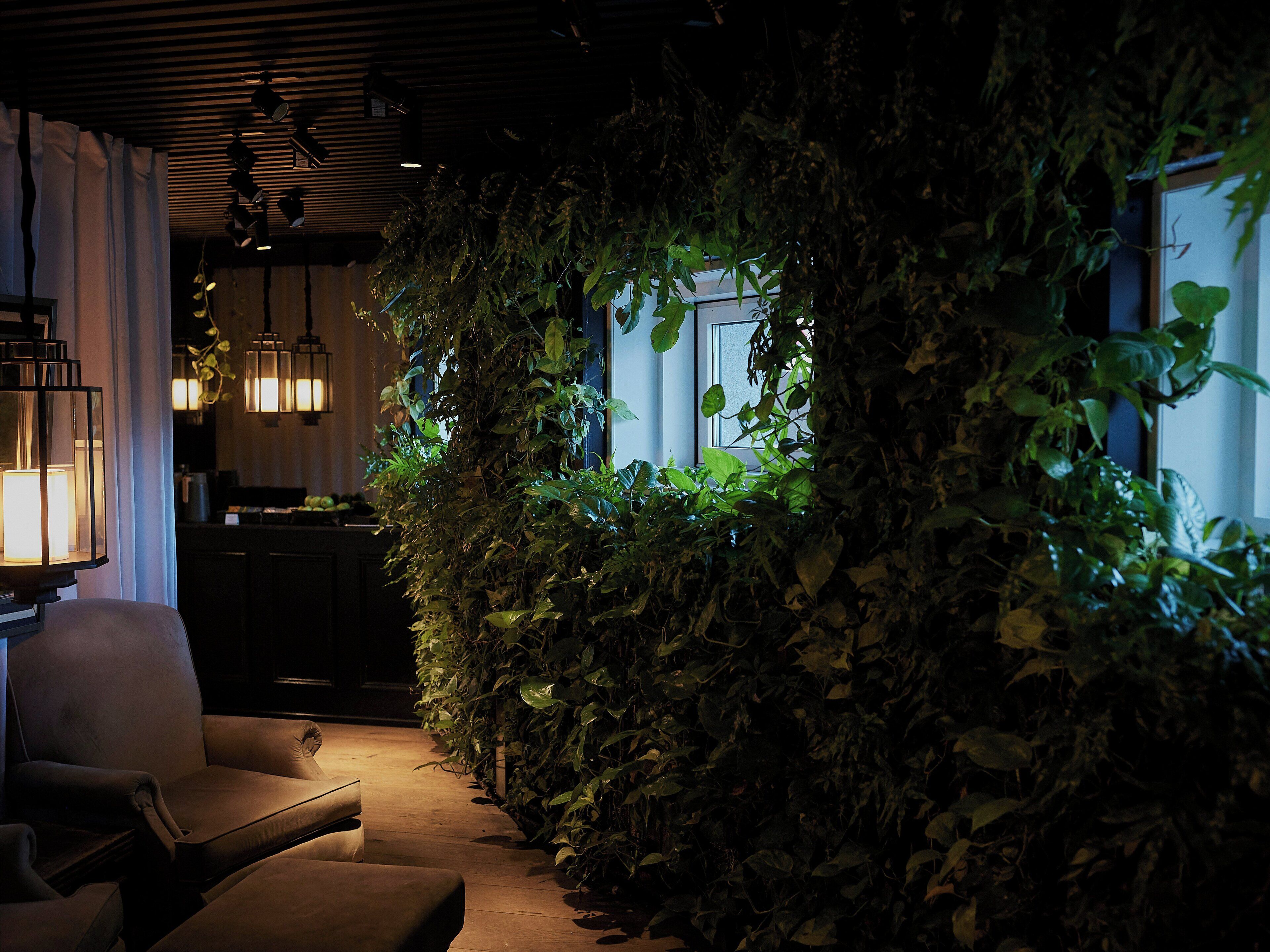 Um espaço acolhedor em ambiente interno, com uma parede verde, área de estar e uma janela.