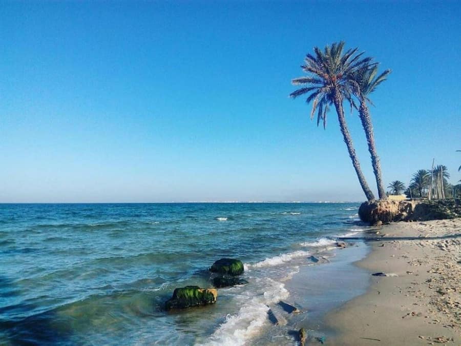 Perto da praia, areia branca, espreguiçadeiras, guarda-sóis