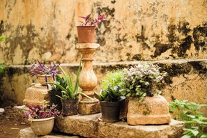Vila tradicional | Terraço/pátio