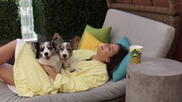 Uma pessoa deitada em um sofá cinza com um cachorro, rodeada por almofadas em amarelo, verde e azul.