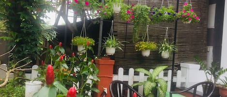 Terraço/pátio