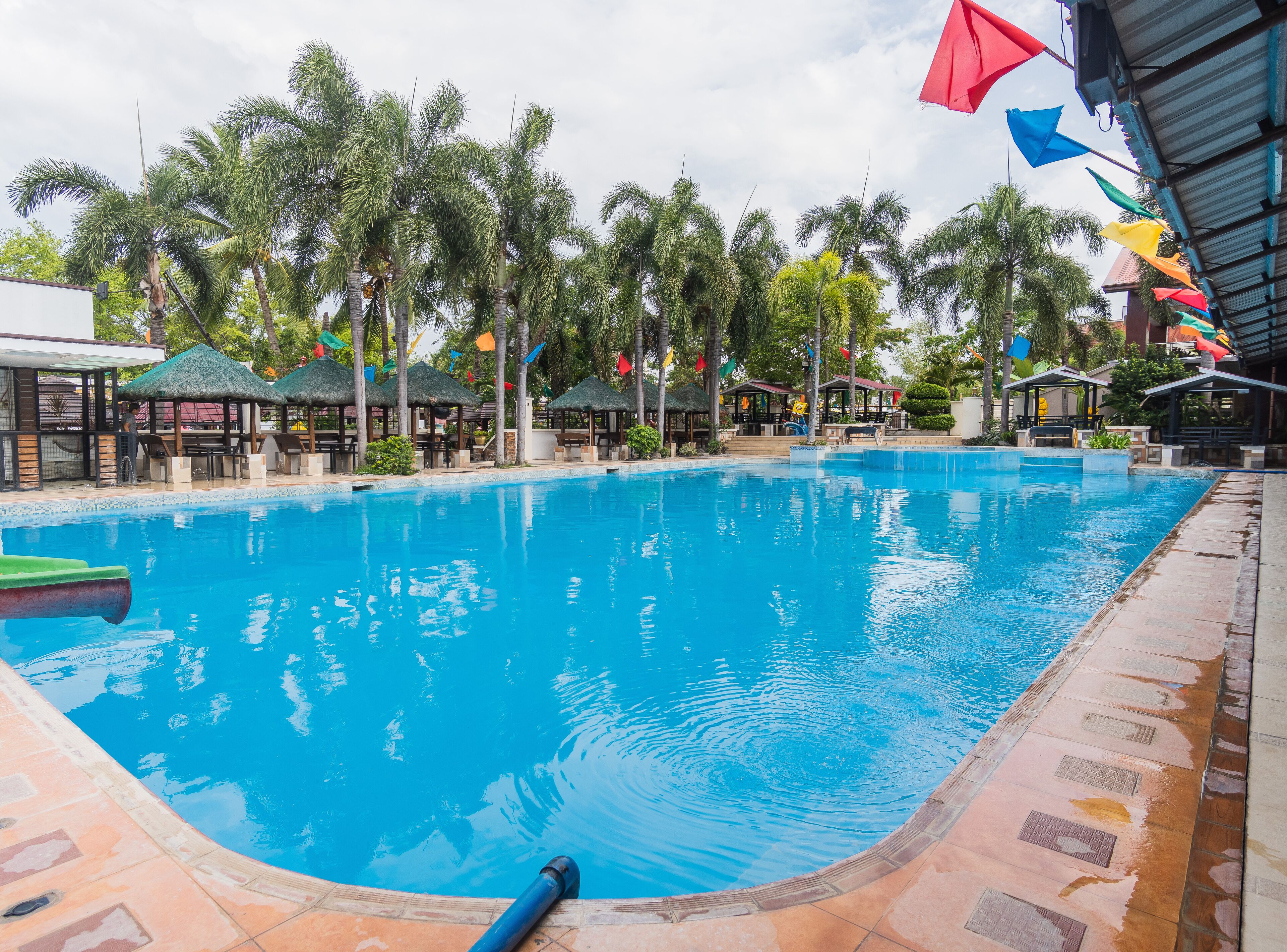 Piscina com deck revestido, cercada por palmeiras e estruturas cobertas.