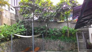 Piscina com duas espreguiçadeiras de madeira, cercada por vegetação exuberante e um muro de pedra.