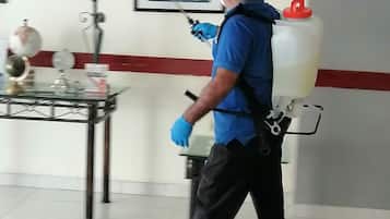 Receção