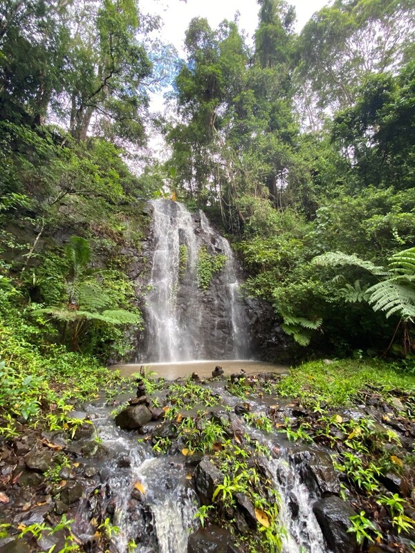 Nimbin Waterfall Retreat - Nimbin