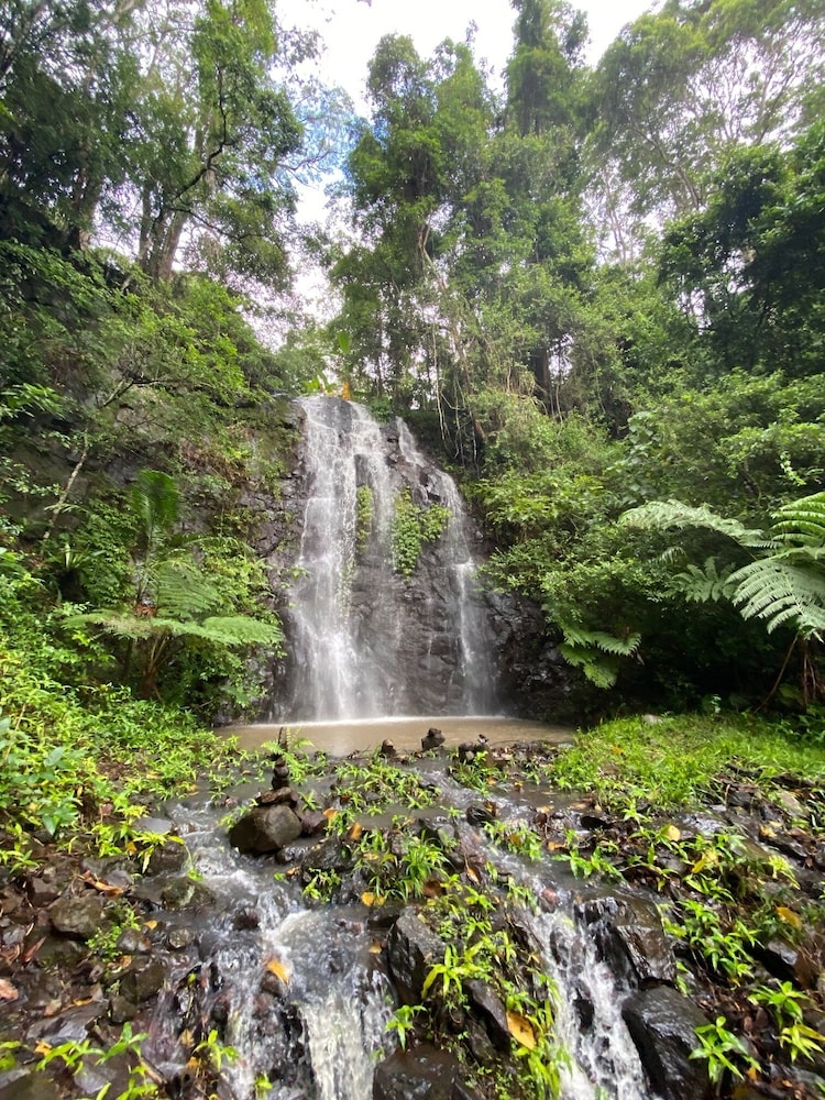 Nimbin Waterfall Retreat - Nimbin