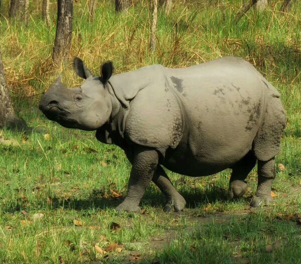 Hidden World Resort And Spa - Tibet