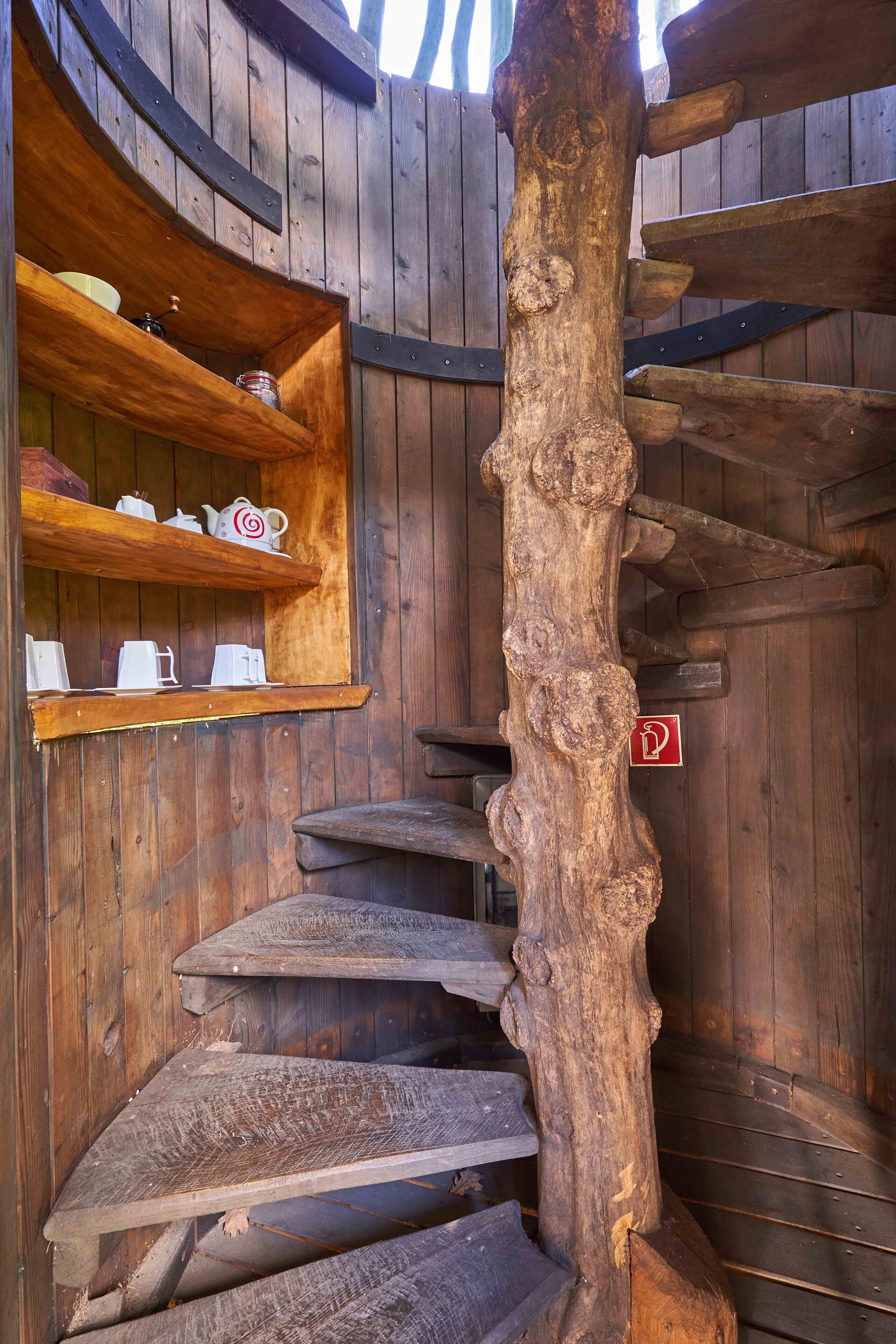 Escada espiral de madeira com prateleiras que exibem xícaras brancas e uma chaleira.
