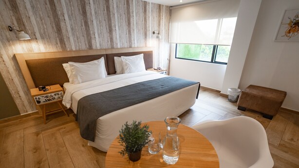 Quarto de hotel moderno com uma cama grande, mesas de cabeceira, uma mesa redonda de madeira com uma planta e uma cadeira branca.