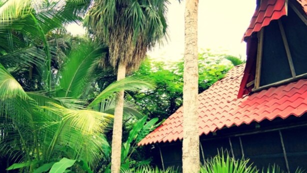 Um edifício com telhado de telhas vermelhas, rodeado por vegetação tropical exuberante.