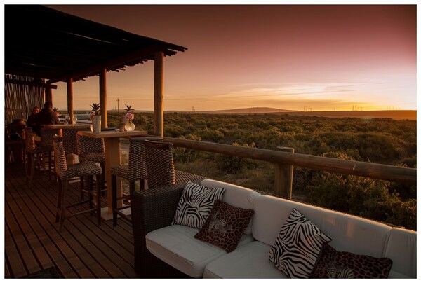 Thali Thali Game Lodge - Western Cape