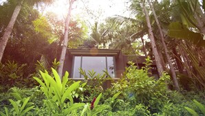 Uma construção pequena e moderna, rodeada por vegetação tropical exuberante.