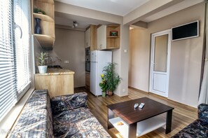 Apartment 204,One bedroom (for 3 people)  | Sala | TV de ecrã plano 