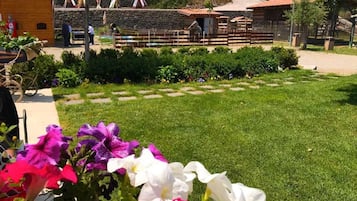 Jardim