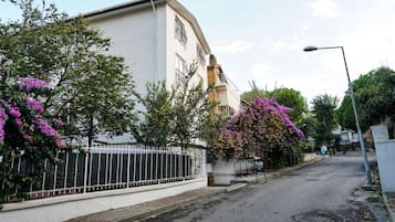 Vista da rua com um edifício de fachada branca e entrada visível. Há árvores com flores roxas e uma cerca de metal ao longo da calçada.