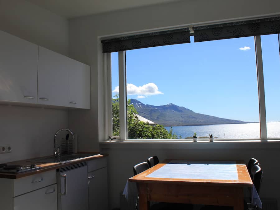 Apartamento, 2 quartos (Guesthouse) | Kitchenette privada | Um frigorífico, um micro-ondas, uma placa de cozinha