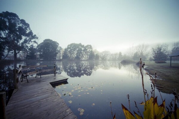 Sanctuary Park Cottages - Healesville