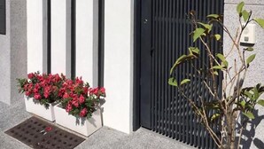 Fachada de um edif ício moderno com uma grande porta preta, janelas verticais e um pequeno vaso com flores vermelhas.