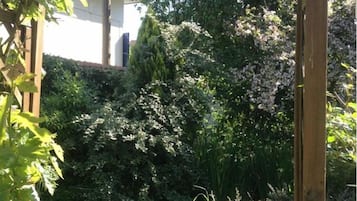 Jardim