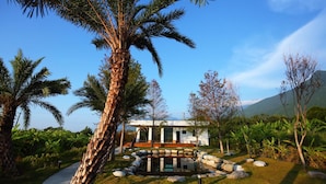 Uma casa moderna com piscina, rodeada por vegetação tropical e montanhas ao fundo.