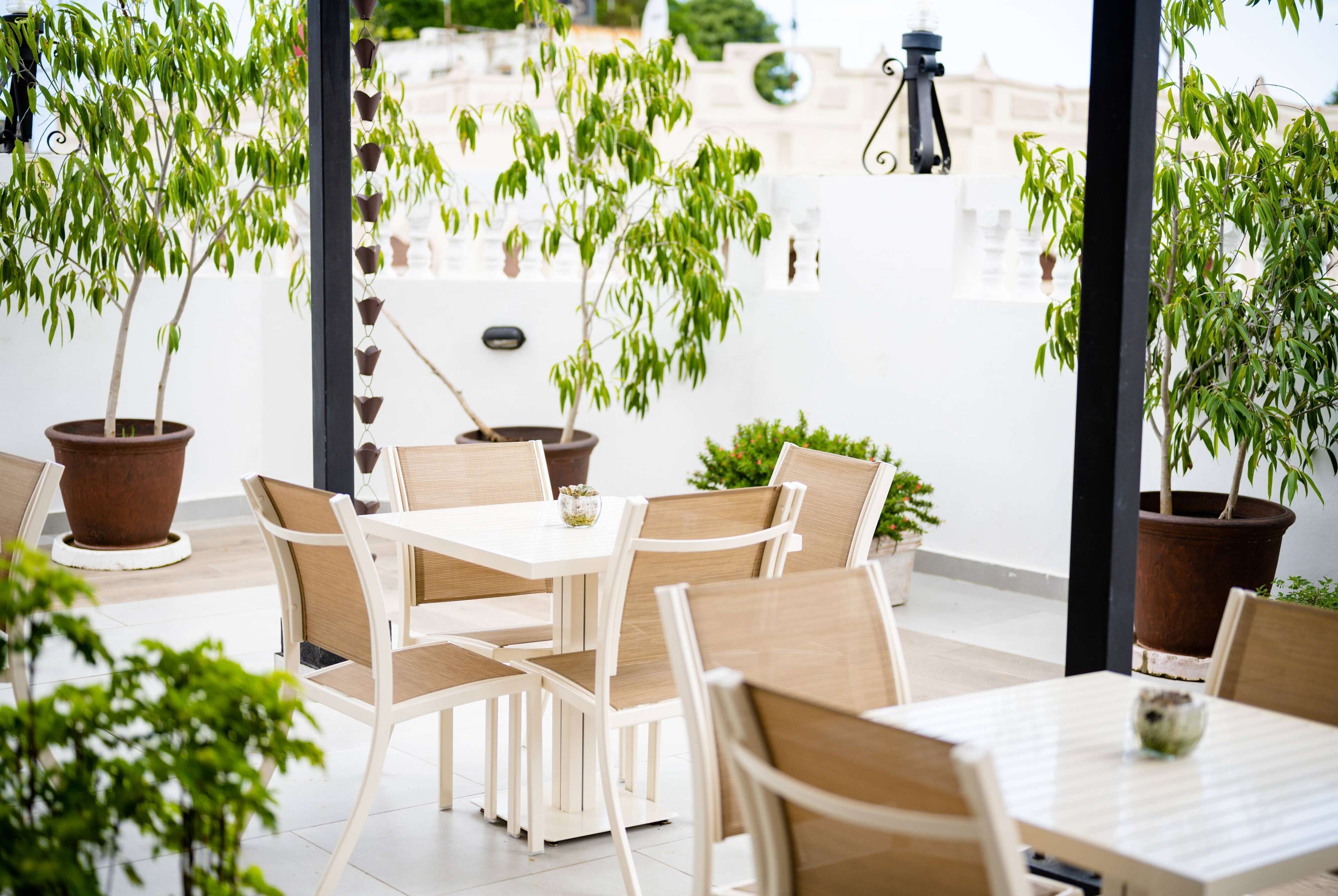 Área de pátio com mesas e cadeiras brancas, rodeada por plantas em vasos.
