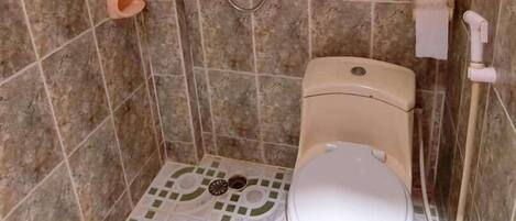 Um banheiro pequeno com vaso sanitário, chuveiro e porta-papel higiênico.