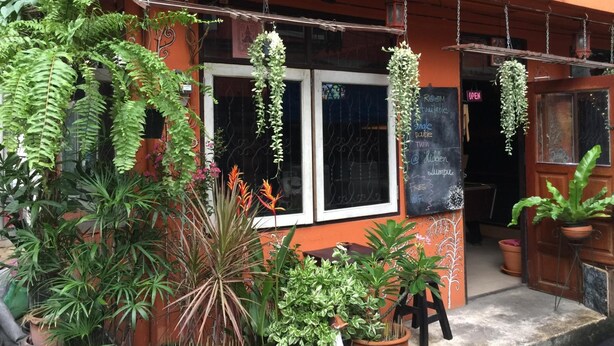 Um edifício com uma grande janela, vasos de plantas e trepadeiras penduradas.
