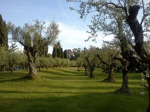 Alpendre