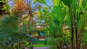 Um jardim exuberante com diversas plantas tropicais, uma estrutura de madeira e um caminho que leva a um edifício.