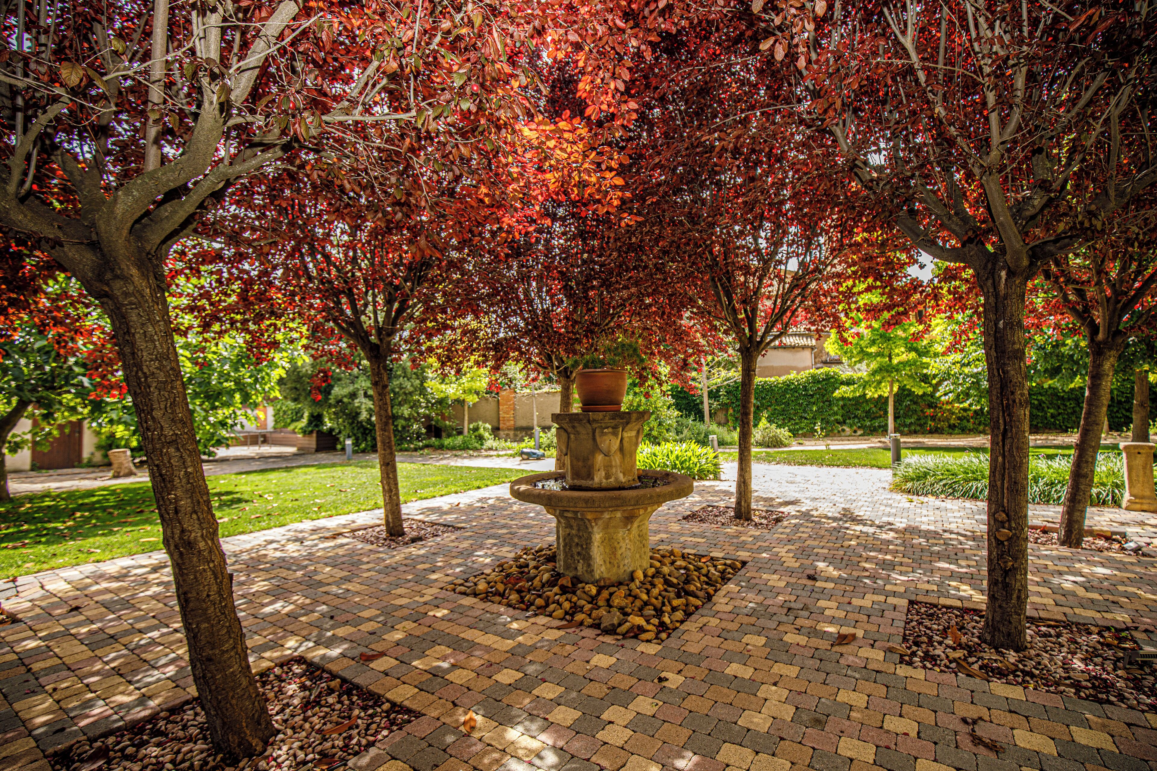 Entrada da propriedade