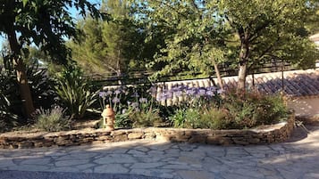 Jardim