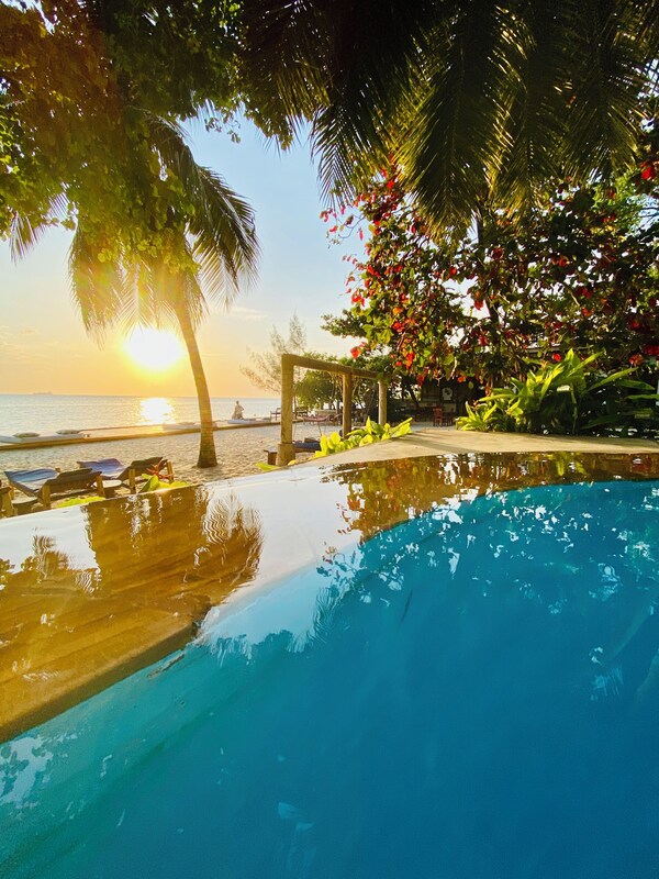 Mangrove Lodge - Zanzibar