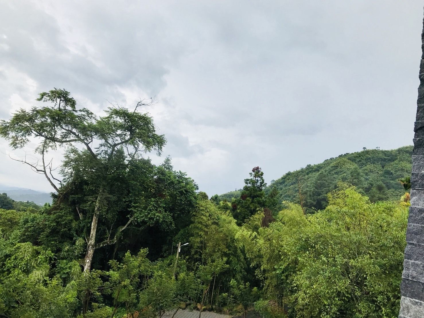 Paisagem verde exuberante com vegetação densa e uma construção de pedra.