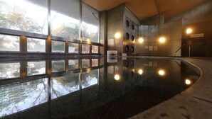 Piscina interna ampla com vista clara para árvores do lado de fora através de grandes janelas.