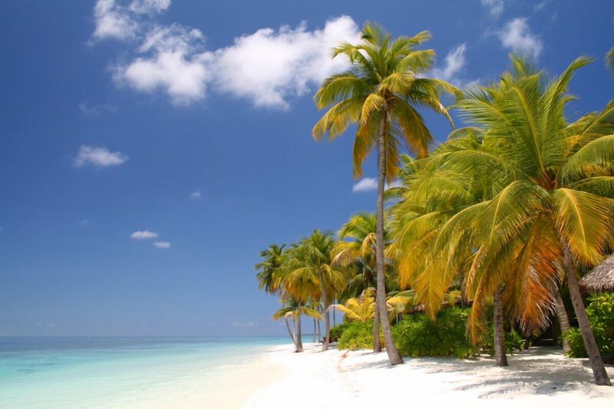 One of the Best Private Beaches in US! Great Location fun activities ...