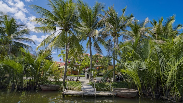 Um jardim tropical com palmeiras, um píer de madeira e um corpo d'água.