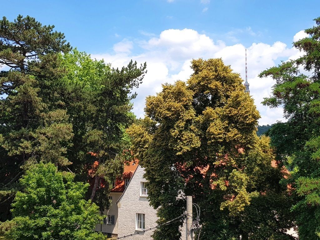 Uma casa com fachada de pedra, rodeada por árvores densas e um céu límpido.