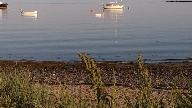 Um lago calmo com barcos e uma margem rochosa.