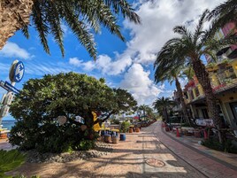 Vista da propriedade