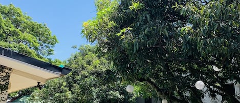 Área de piscina com céu azul límpido, rodeada por vegetação exuberante e uma área de estar coberta.