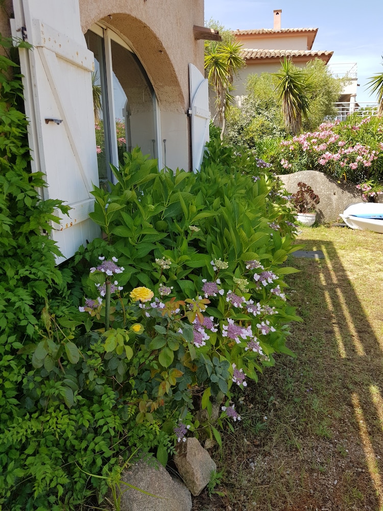 Porticcio: Apartment/ Flat - Porticcio - Corsica