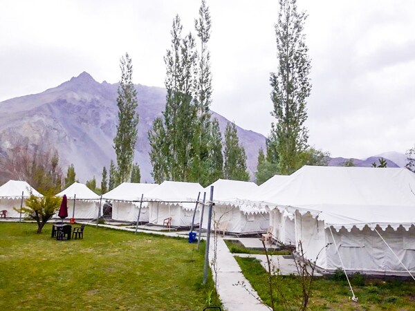 Paradise North Camp - Nubra Valley